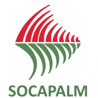 Cameroun - Michel Deumaga Noulowe: «La Socapalm ne possède pas les ...