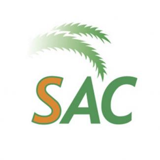 Socfin pays follow up scholarship awards - Socfin