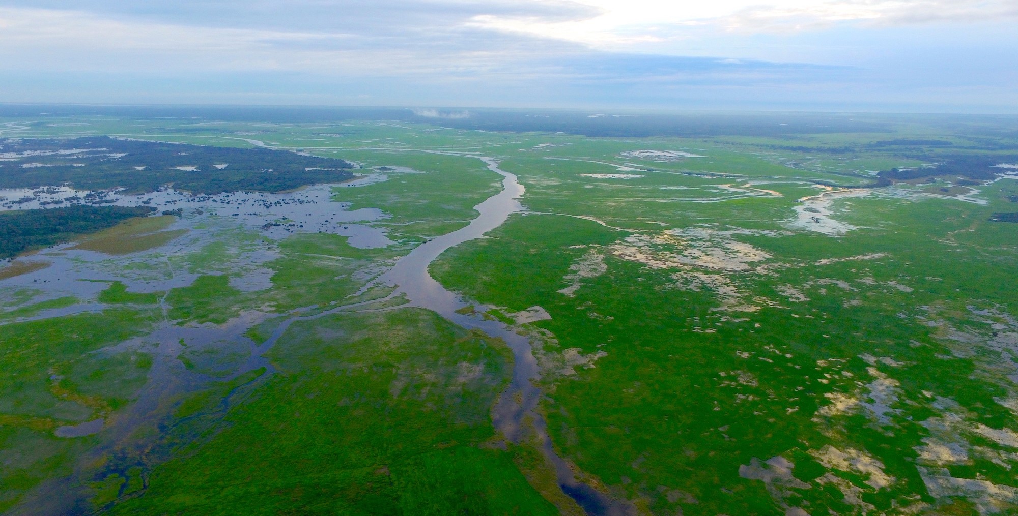 The Untold Story Of Socfin - Socfin