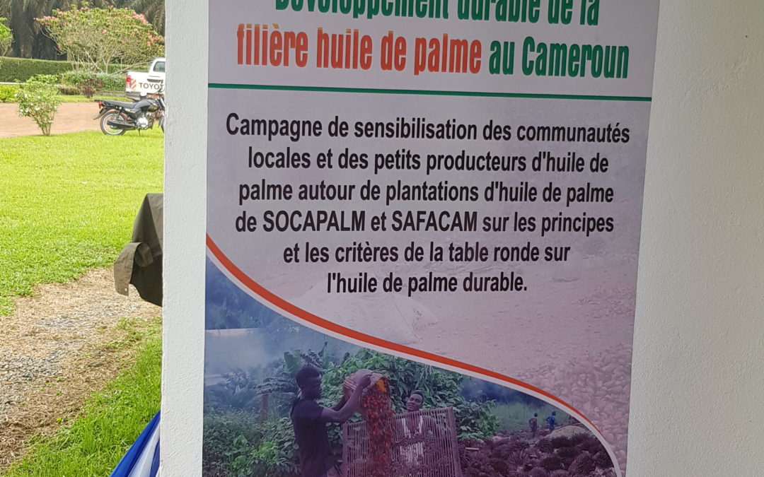 Socapalm Archives - Socfin