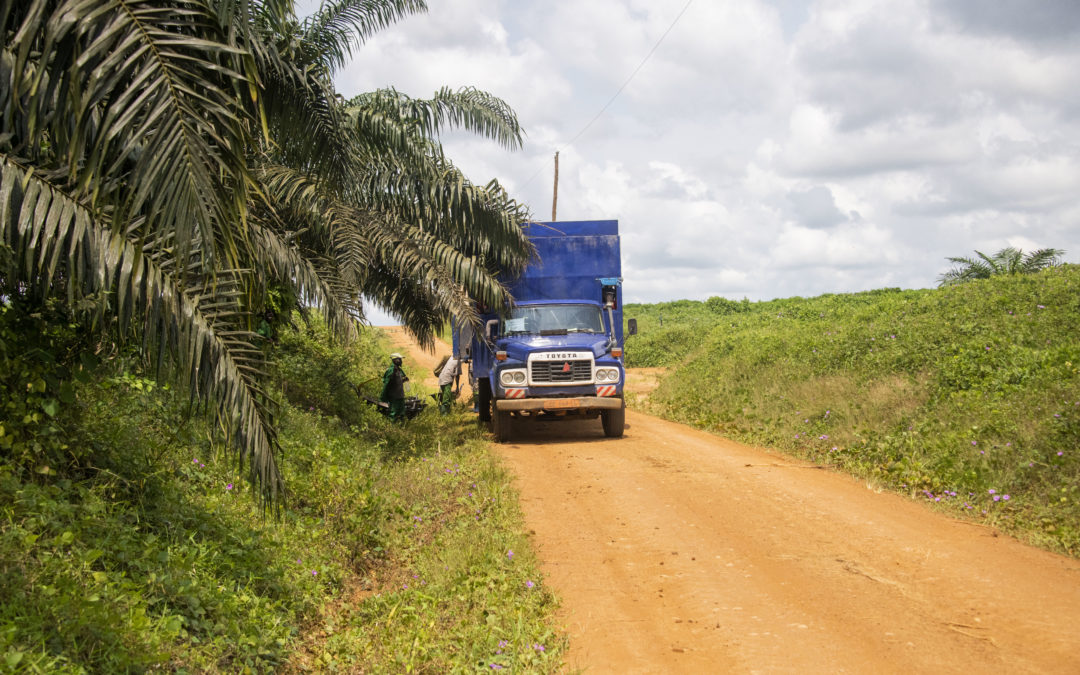 Socapalm Archives - Socfin