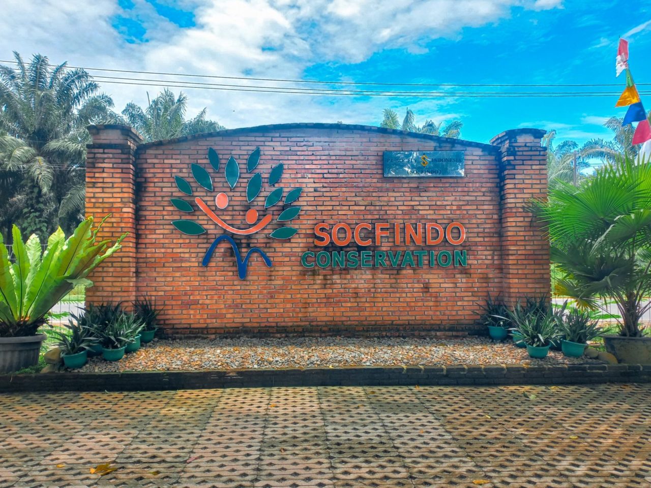 Socfindo - Socfin