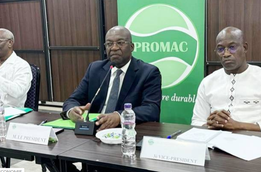 Filière hévéa : L’Apromac élabore un plan stratégique pour 2025-2030 ...