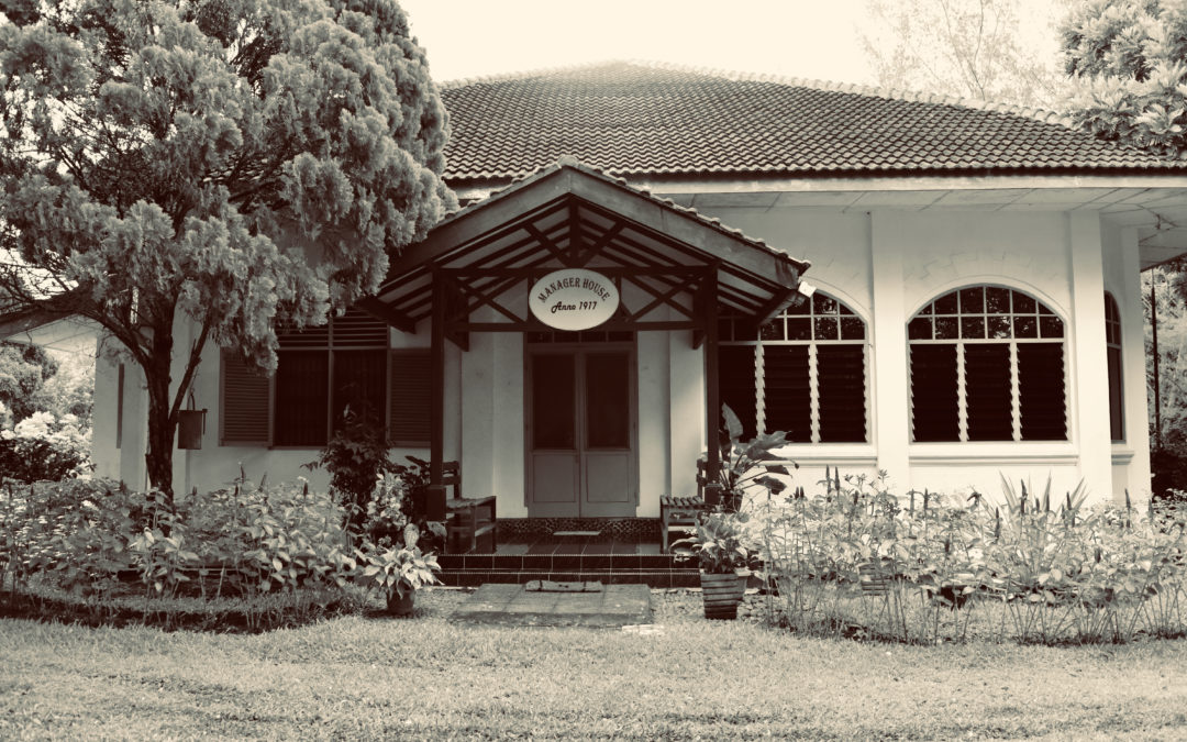 Socfindo Archives - Socfin