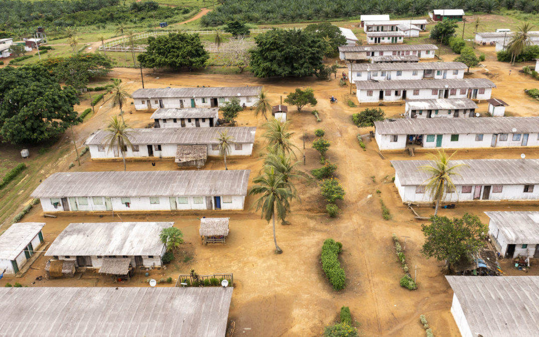 Village, Kienké, Socapalm, Cameroun - Socfin
